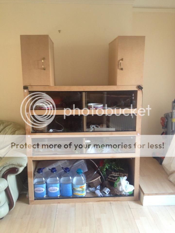 Wales - Custom snake viv/rack | Reptile Forums