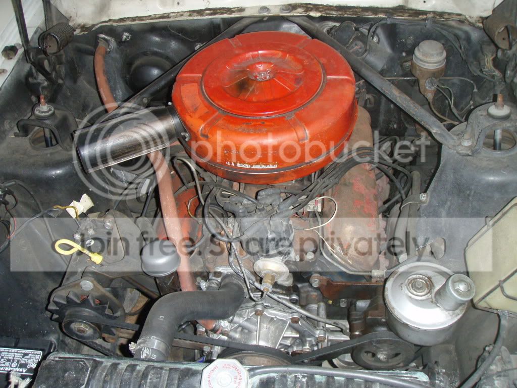 260 engine rebuild | The H.A.M.B.